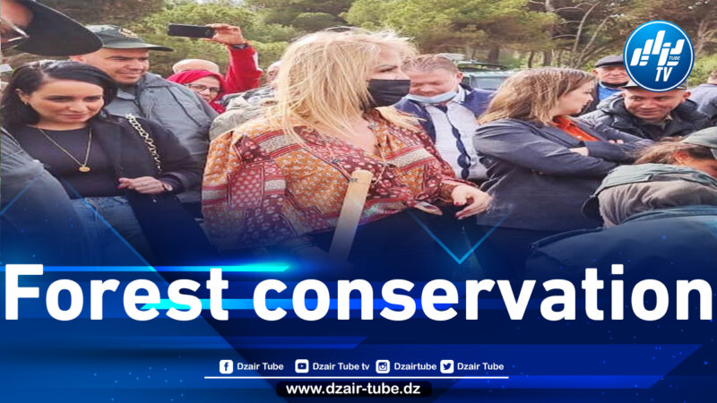 Saida Neghza signs a cooperation agreement with the forests of the ...