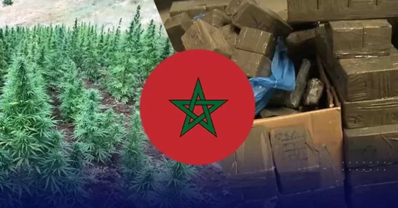 Moroccan Drug Mafia: Growing threat to Europe, North Africa ...