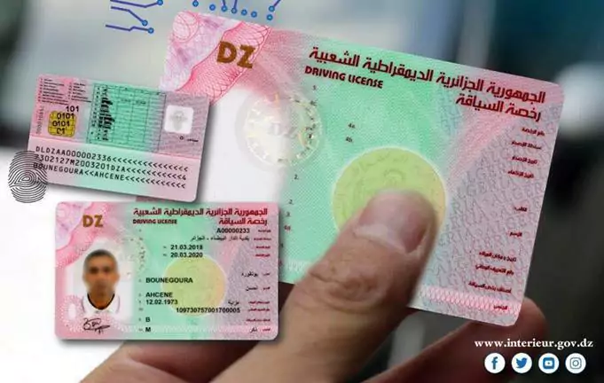 Algeria to Implement Points-based Driving License System by 2026 ...