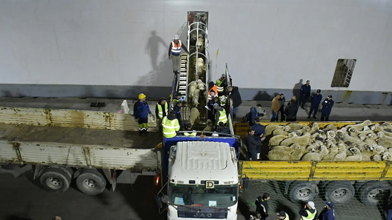 Algeria's Serport CEO: Over 31 Million Tons of Cargo and 484,000 ...