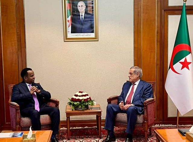 Algeria, Somalia Strengthen Strategic Ties Amid Regional Security Challenges - DzairTube En