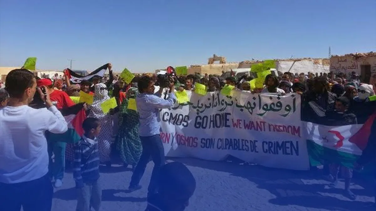 Pillaging Western Sahara’s Wealth: The Dark Economics of Moroccan ...