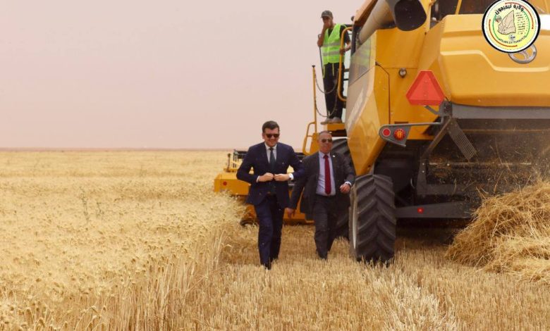 A Record Cereals Harvest Is Expected’: Minister Forecasts Strong ...